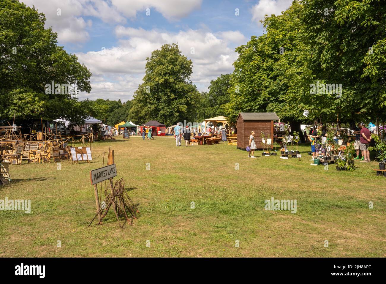 The Tree Fair held at Strumpshaw steam museum in Norfolk England UK ...