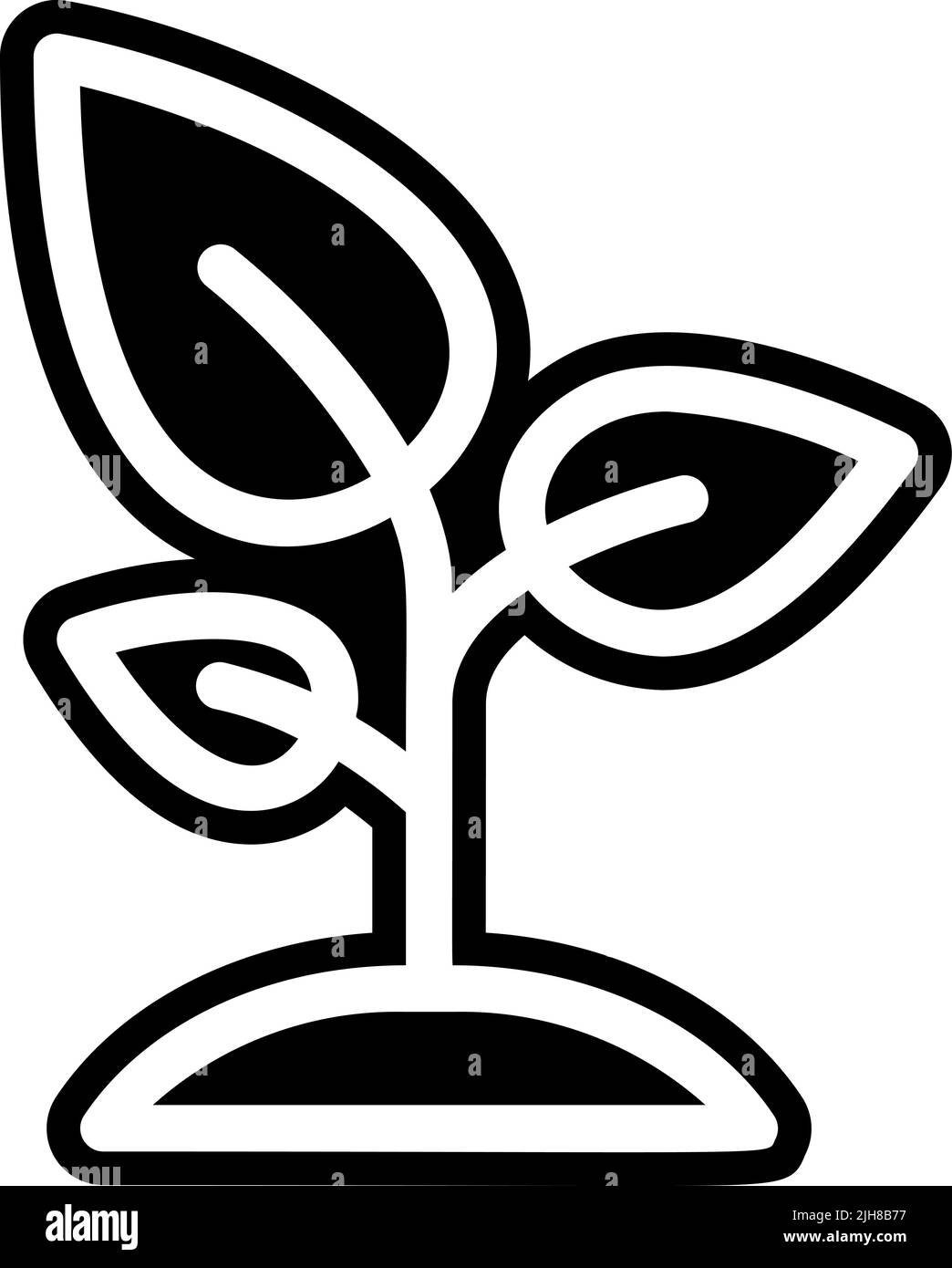 Plant sprout Black and White Stock Photos & Images - Alamy