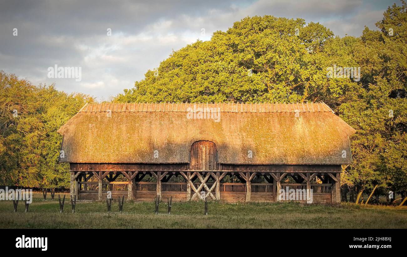 Forage station hi-res stock photography and images - Alamy