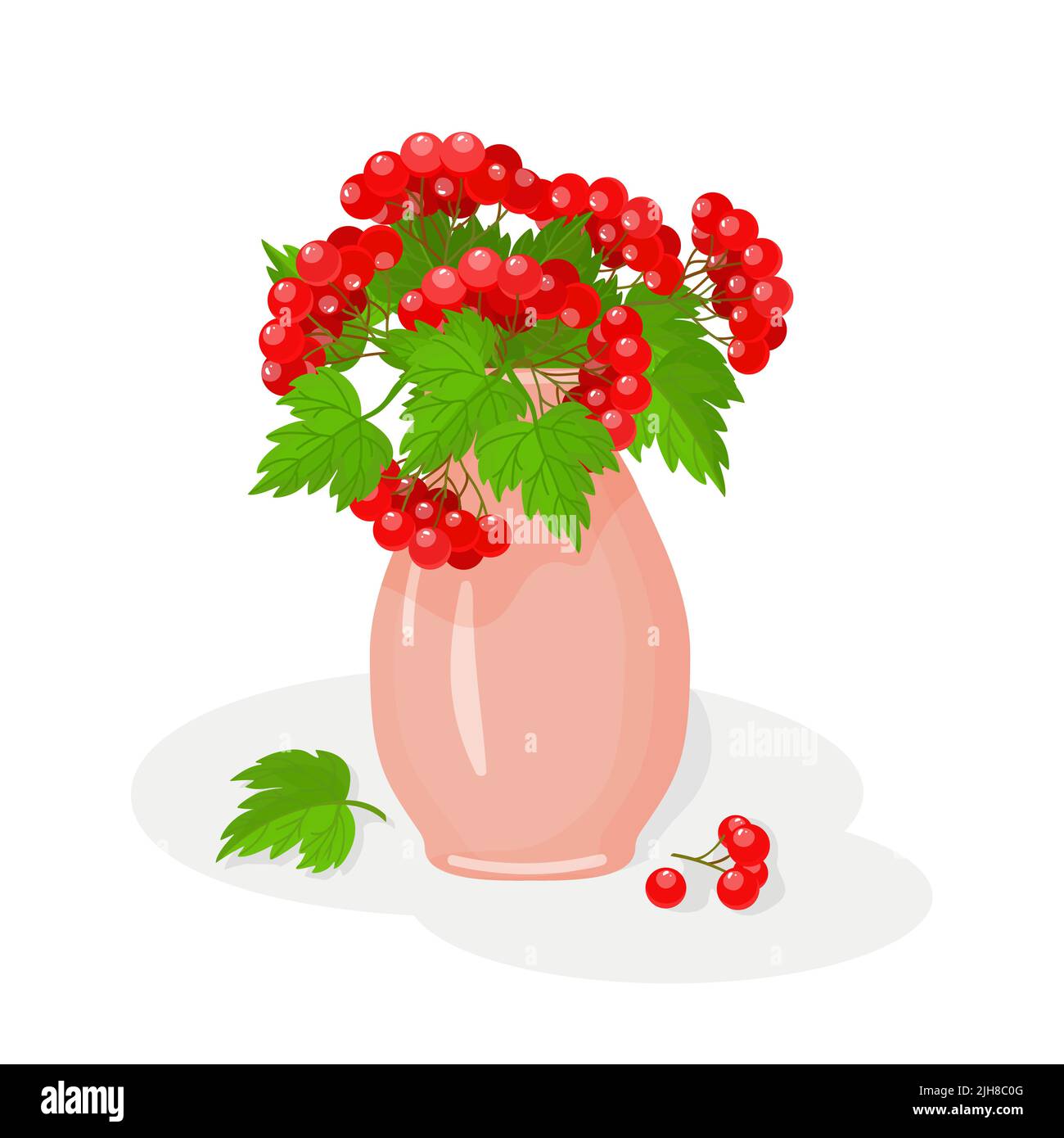 White viburnum flower background Stock Vector Images - Alamy