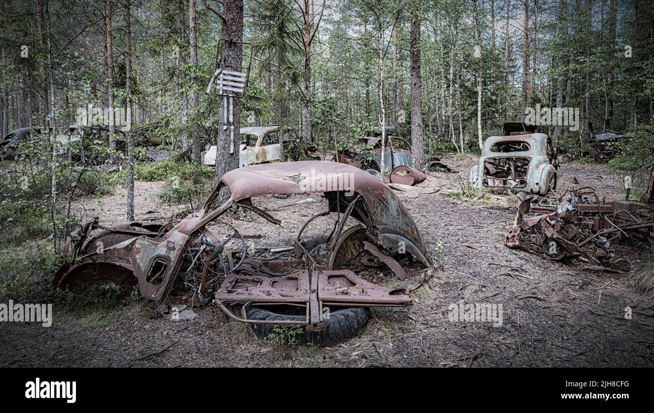 Vintage cars in a car graveyard in a forest hi-res stock photography ...