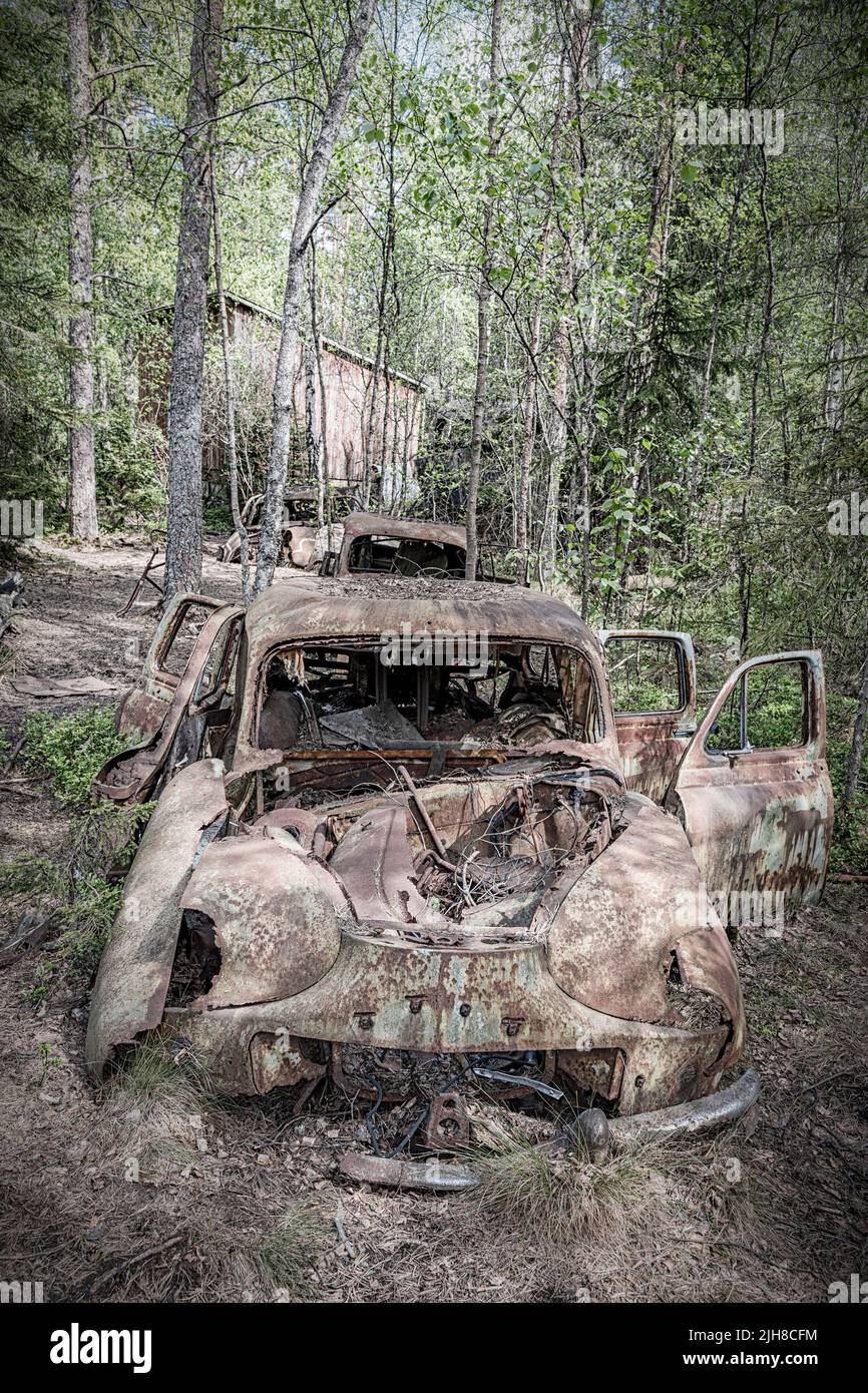 A car graveyard is situated in a forest Stock Photo - Alamy