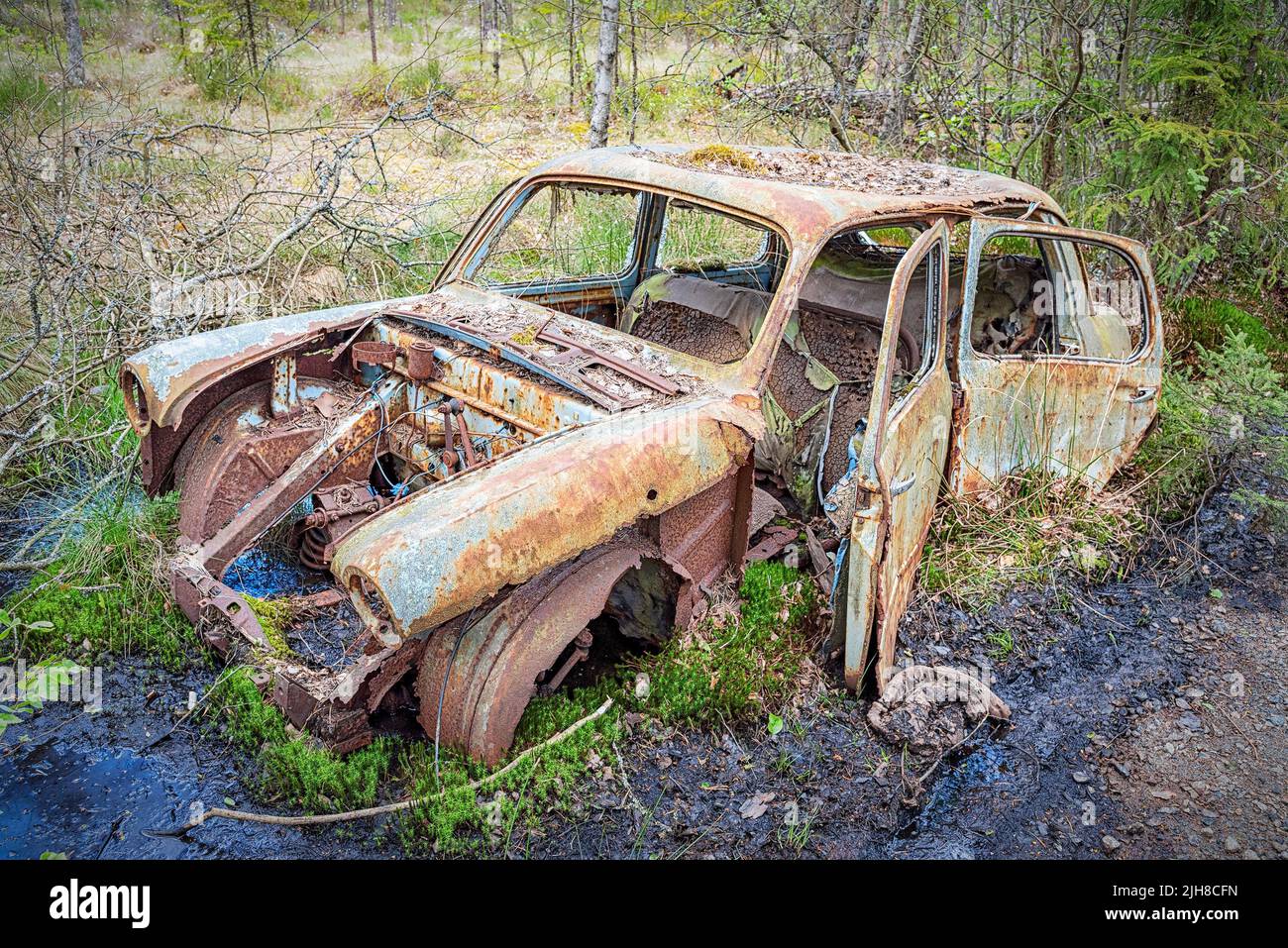 Car graveyard situated in forest hi-res stock photography and images ...