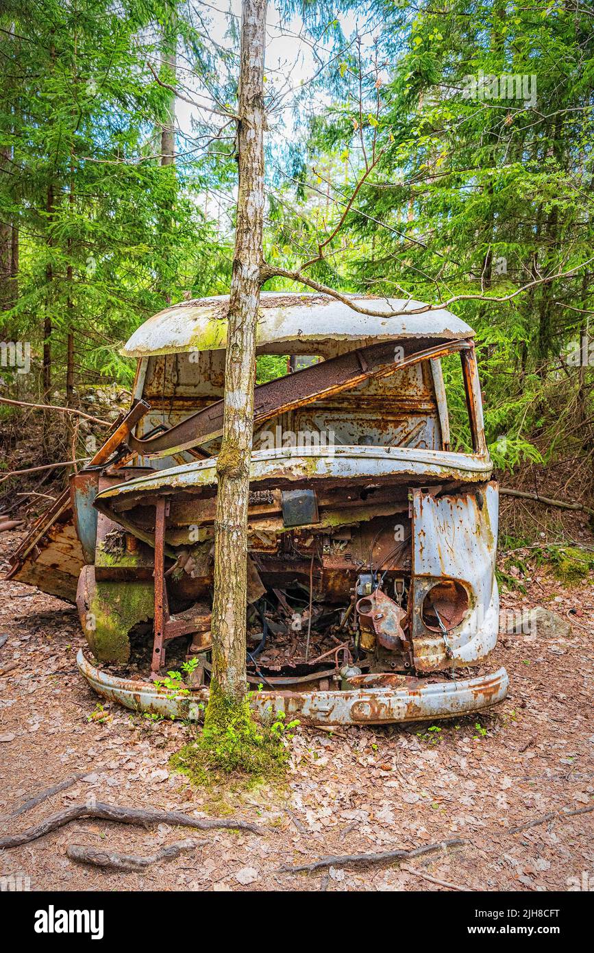 Vintage cars in a car graveyard in a forest hi-res stock photography ...