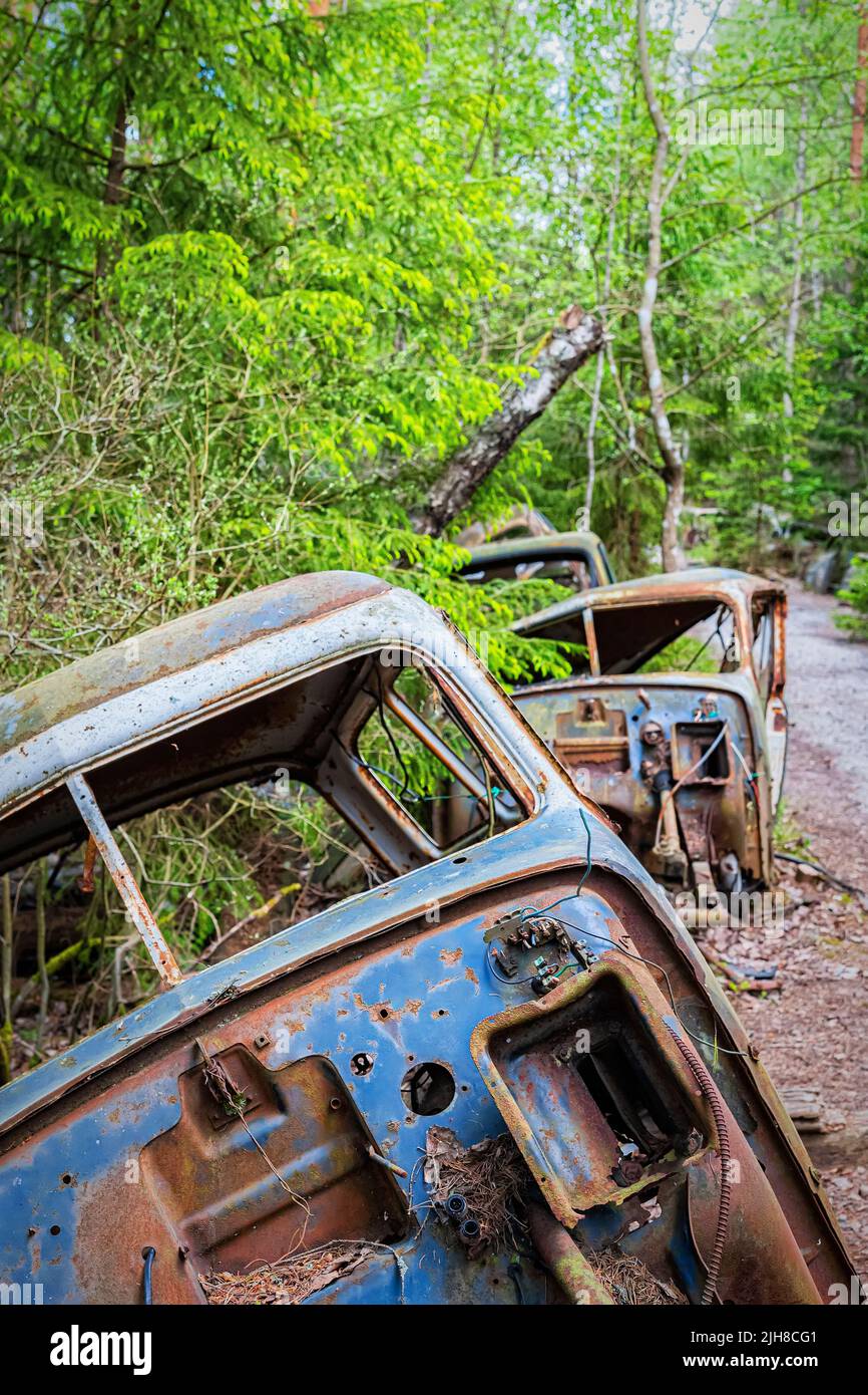 Car graveyard situated in forest hi-res stock photography and images ...