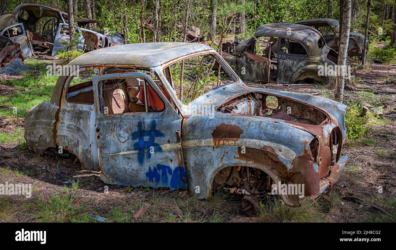Vintage cars in a car graveyard in a forest hi-res stock photography ...