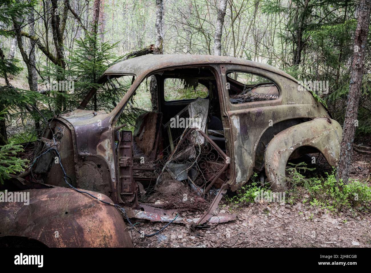 Car graveyard situated in forest hi-res stock photography and images ...