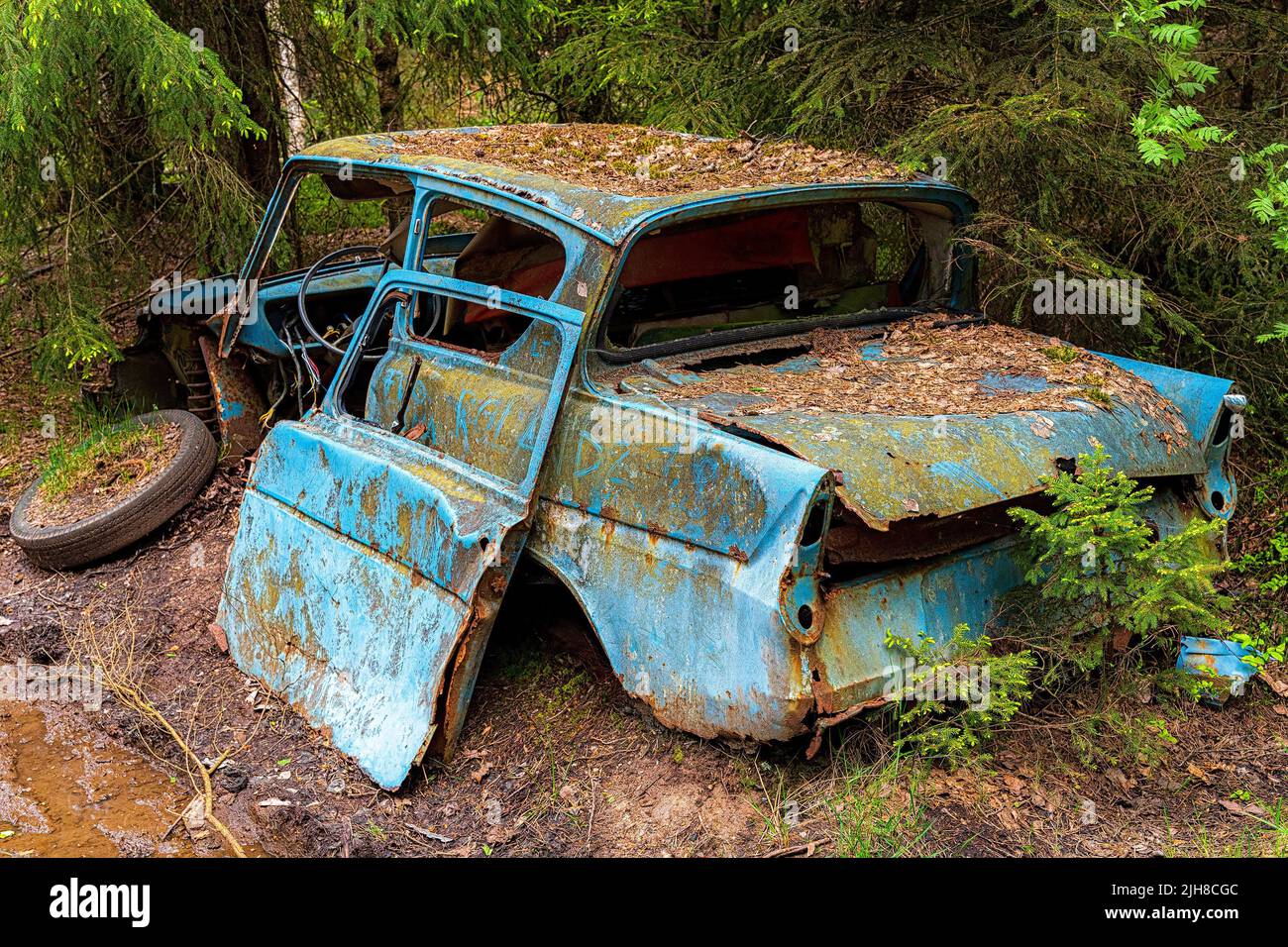 Vintage cars in a car graveyard in a forest hi-res stock photography ...