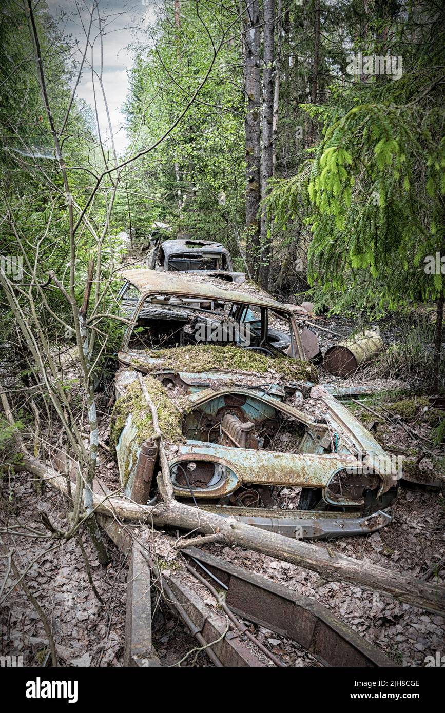 A car graveyard is situated in a forest Stock Photo - Alamy