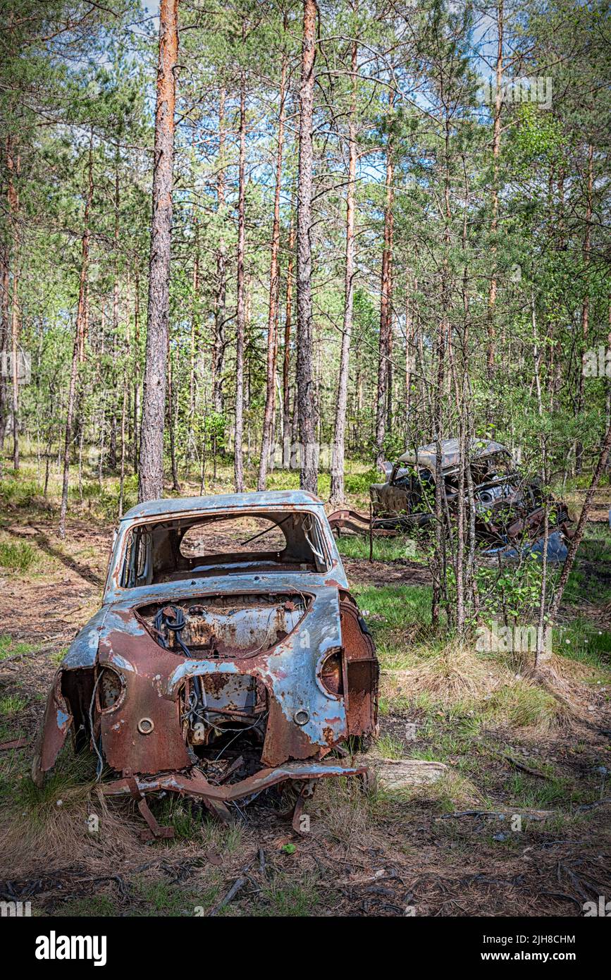 A car graveyard is situated in a forest Stock Photo - Alamy