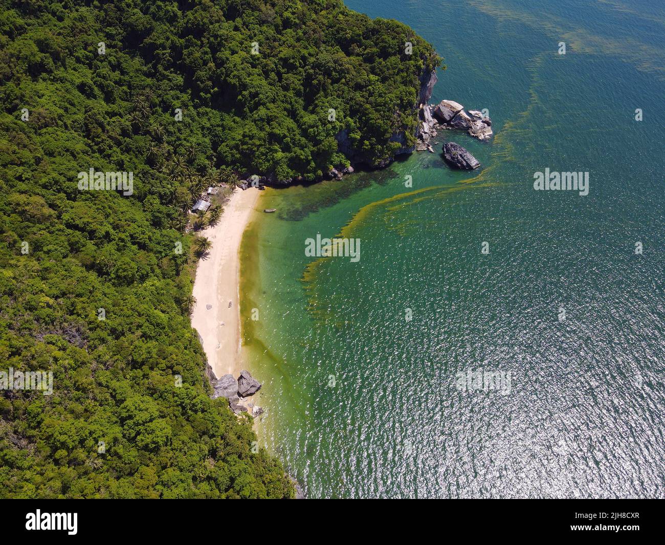 An aerial view of green tropical forest on Ko Maphro island Stock Photo ...