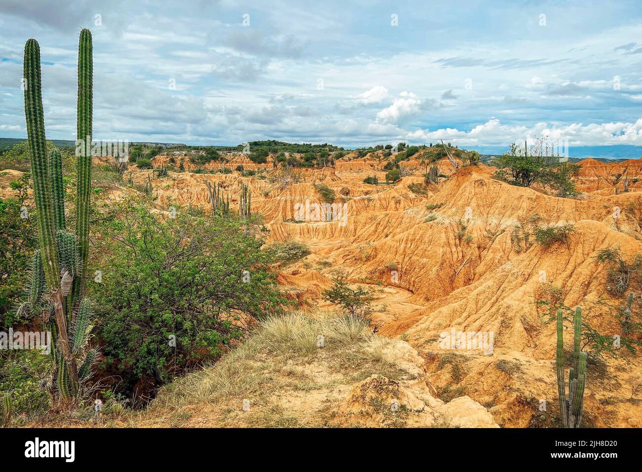A beautiful landscape of Tatacoa Desert with rock formations in ...