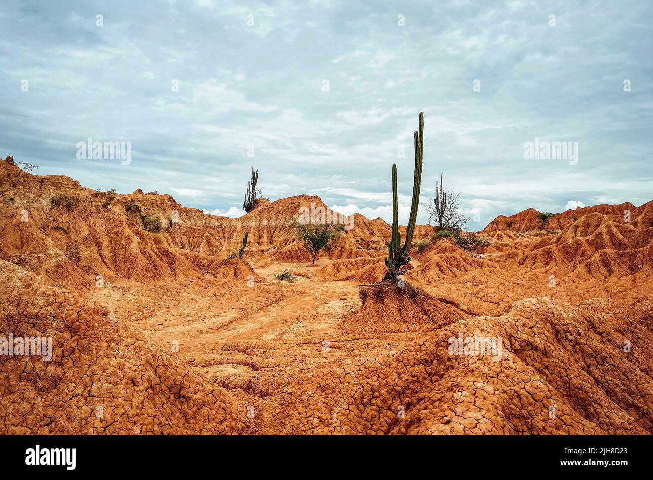 A beautiful landscape of Tatacoa Desert with rock formations in ...