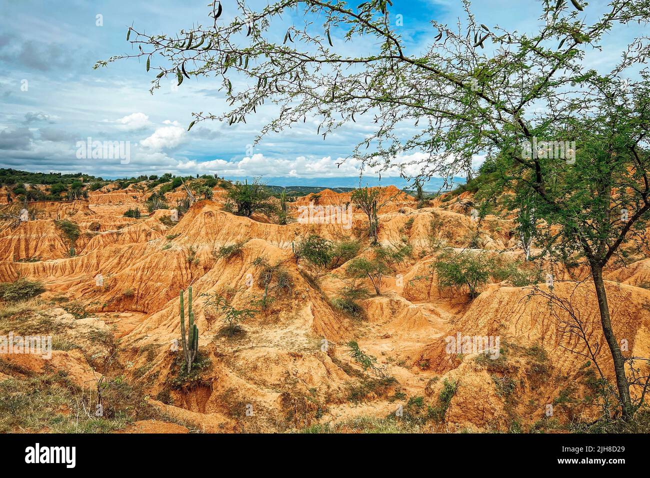 A beautiful landscape of Tatacoa Desert with rock formations in ...