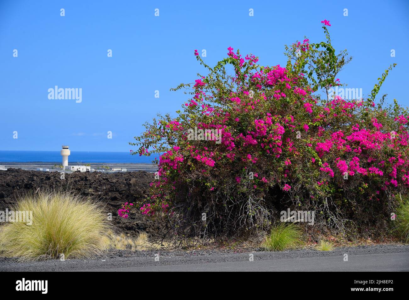 An iconic landscape on Big Island, Kona Kailua HI Stock Photo - Alamy