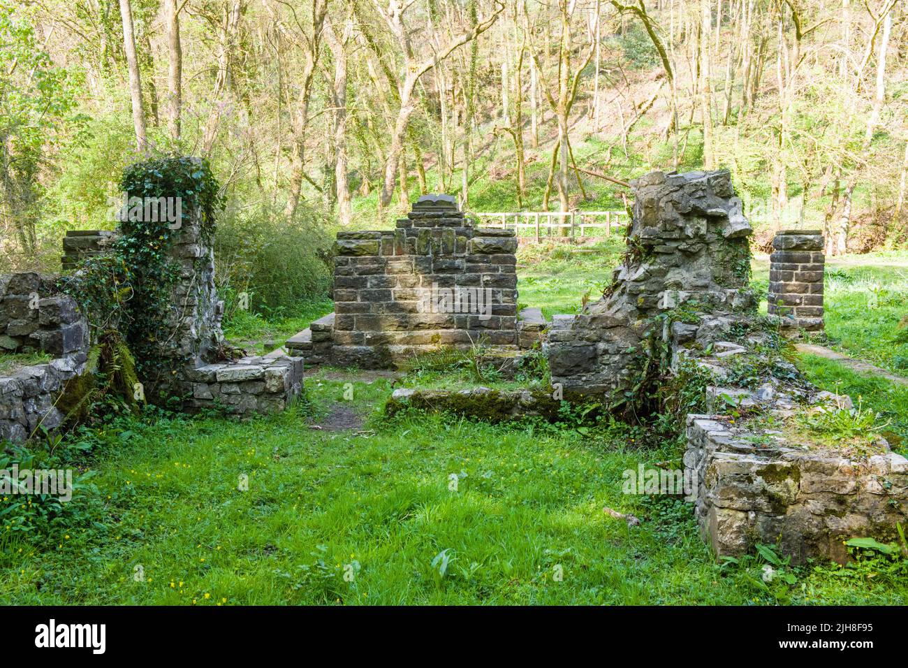 Remains of an old chapel deep in the woods behind The Gower Inn at ...