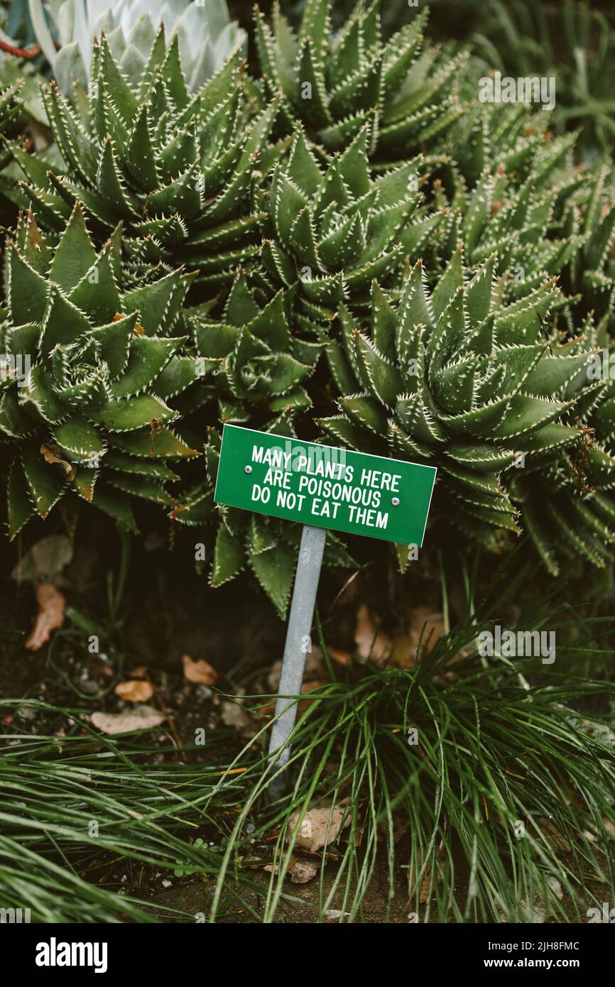 The vertical view of a warning sign against the Short-leaved aloe plant ...