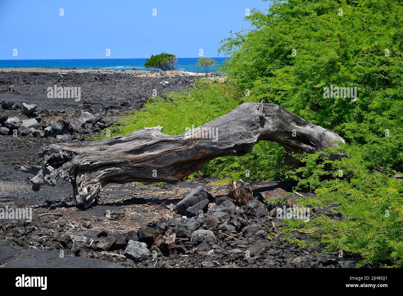 Mahai‘Ula Beach - an iconic lava beach north of Kona Kailua, Kalaoa HI ...