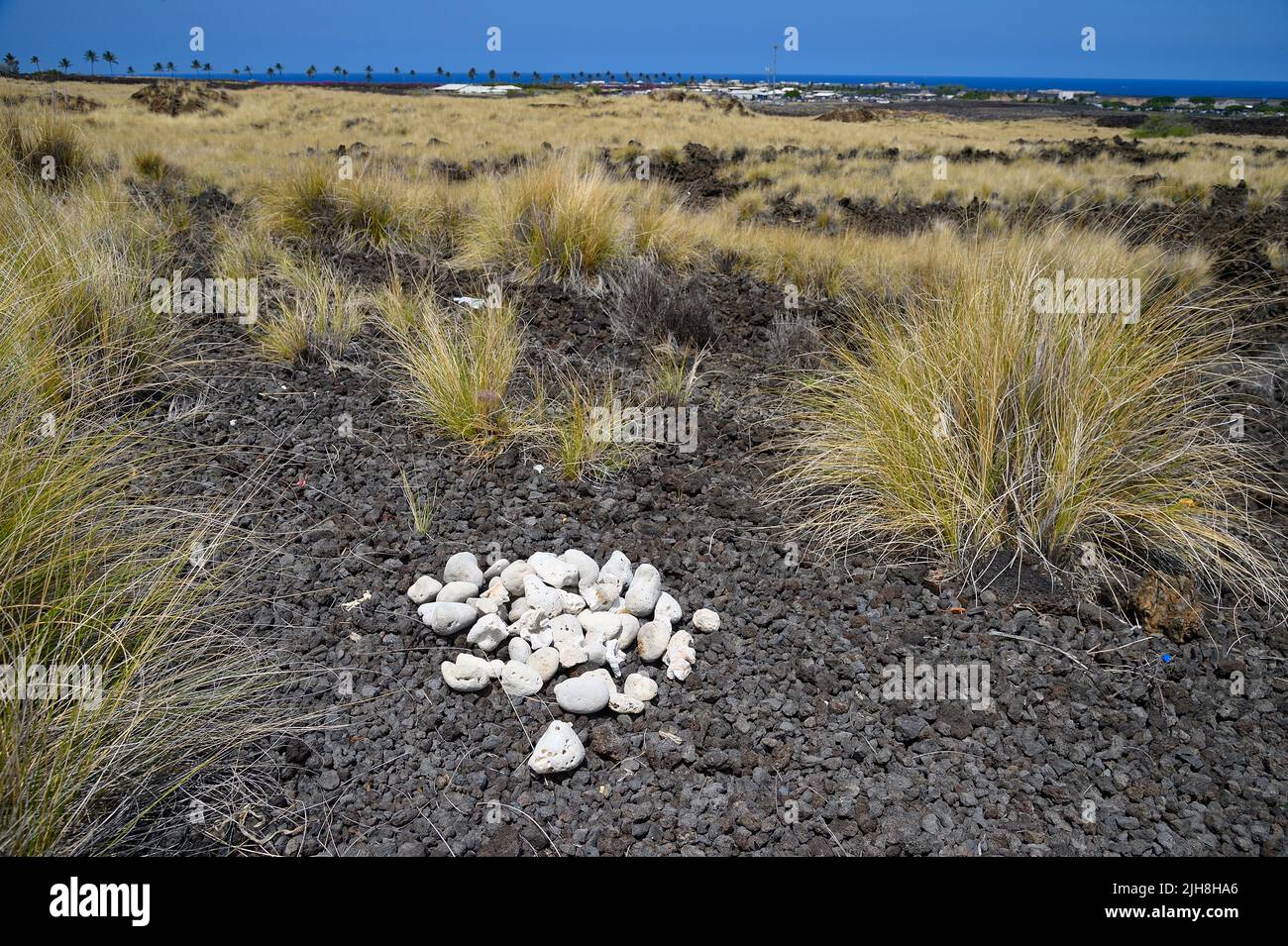 Mahai‘Ula Beach - an iconic lava beach north of Kona Kailua, Kalaoa HI ...