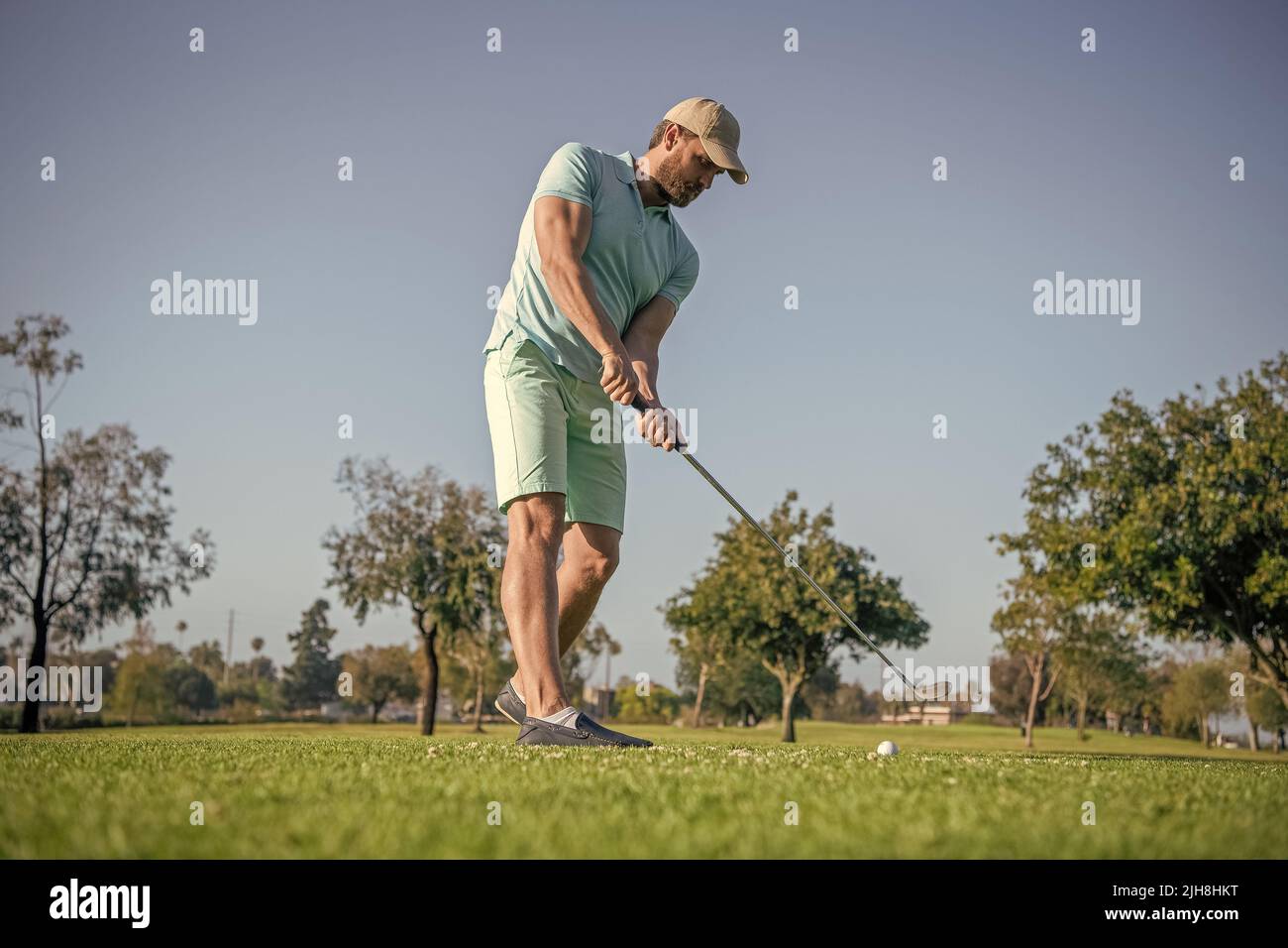 active male golf player on professional course with green grass ...