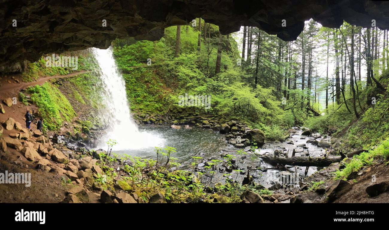 A waterfall streaming through a forest. The view from inside a cave in ...