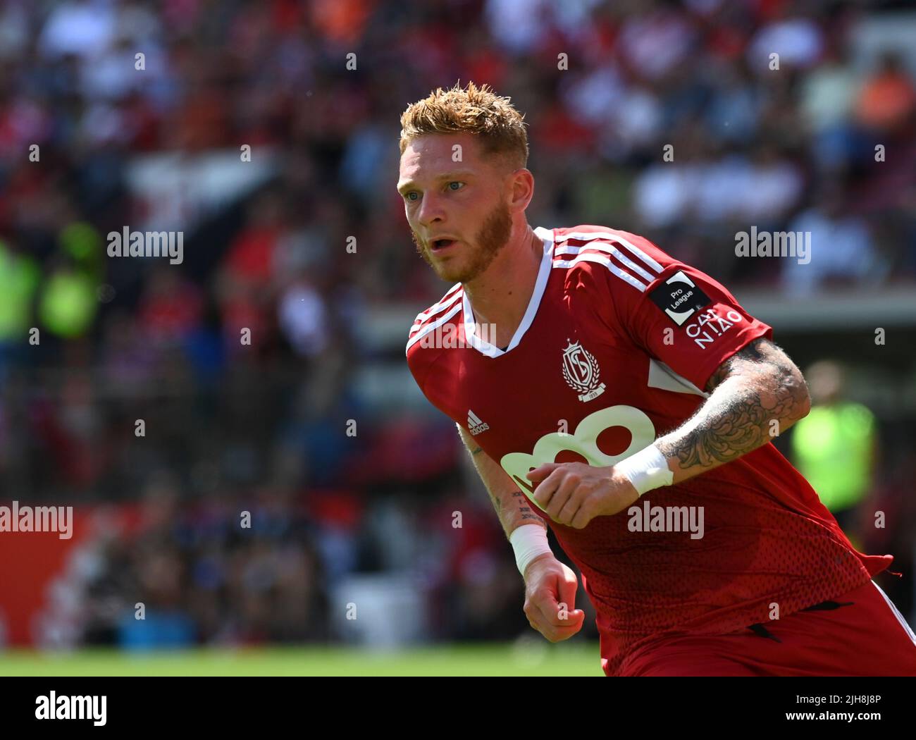 Renaud thys hi-res stock photography and images - Alamy