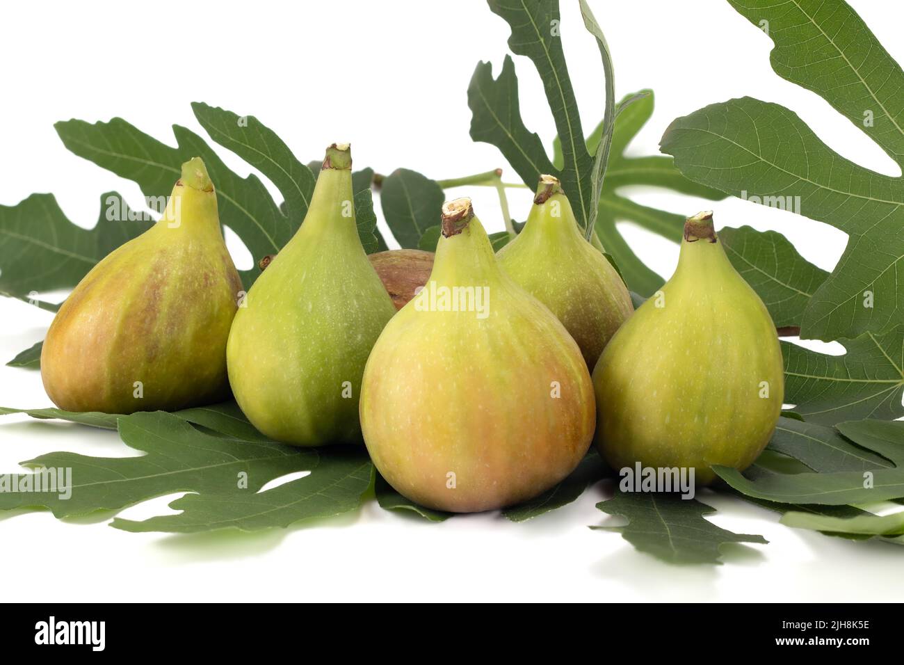 Ripe sweet figs. Fresh figs with leaves isolated on bright background ...