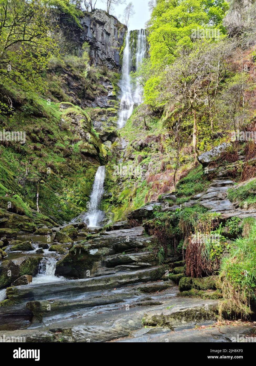 A vertical shot of a waterfall streaming down rocks covered in moss ...