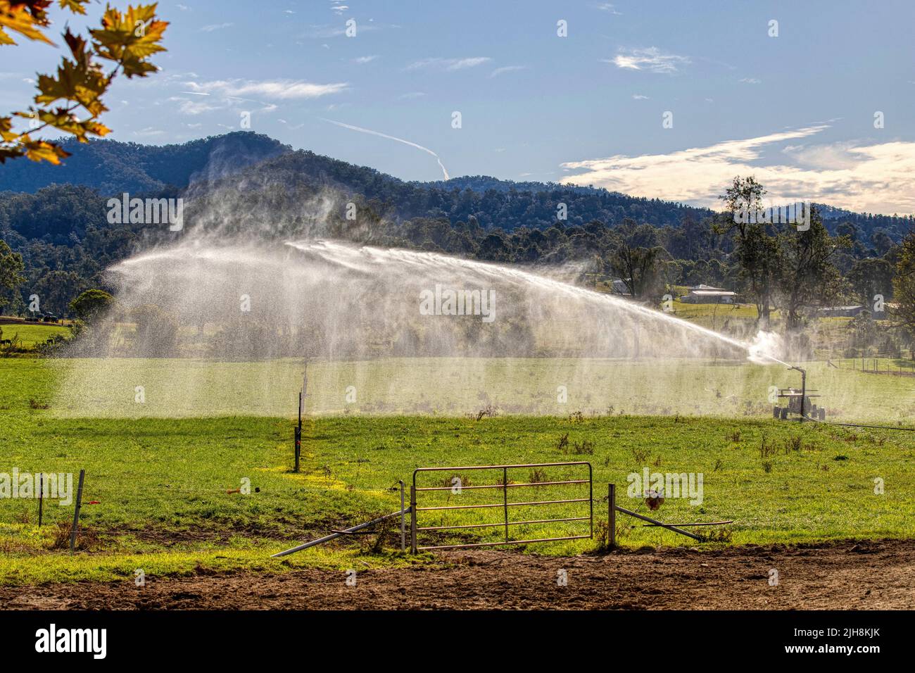 A field automatic irrigation system with dense trees in the background ...