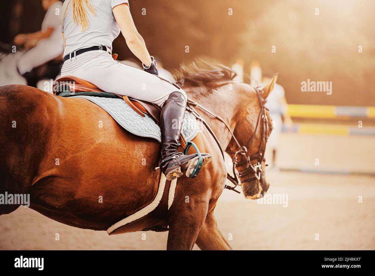 A rear view of a bay fast horse with a rider in the saddle, galloping ...