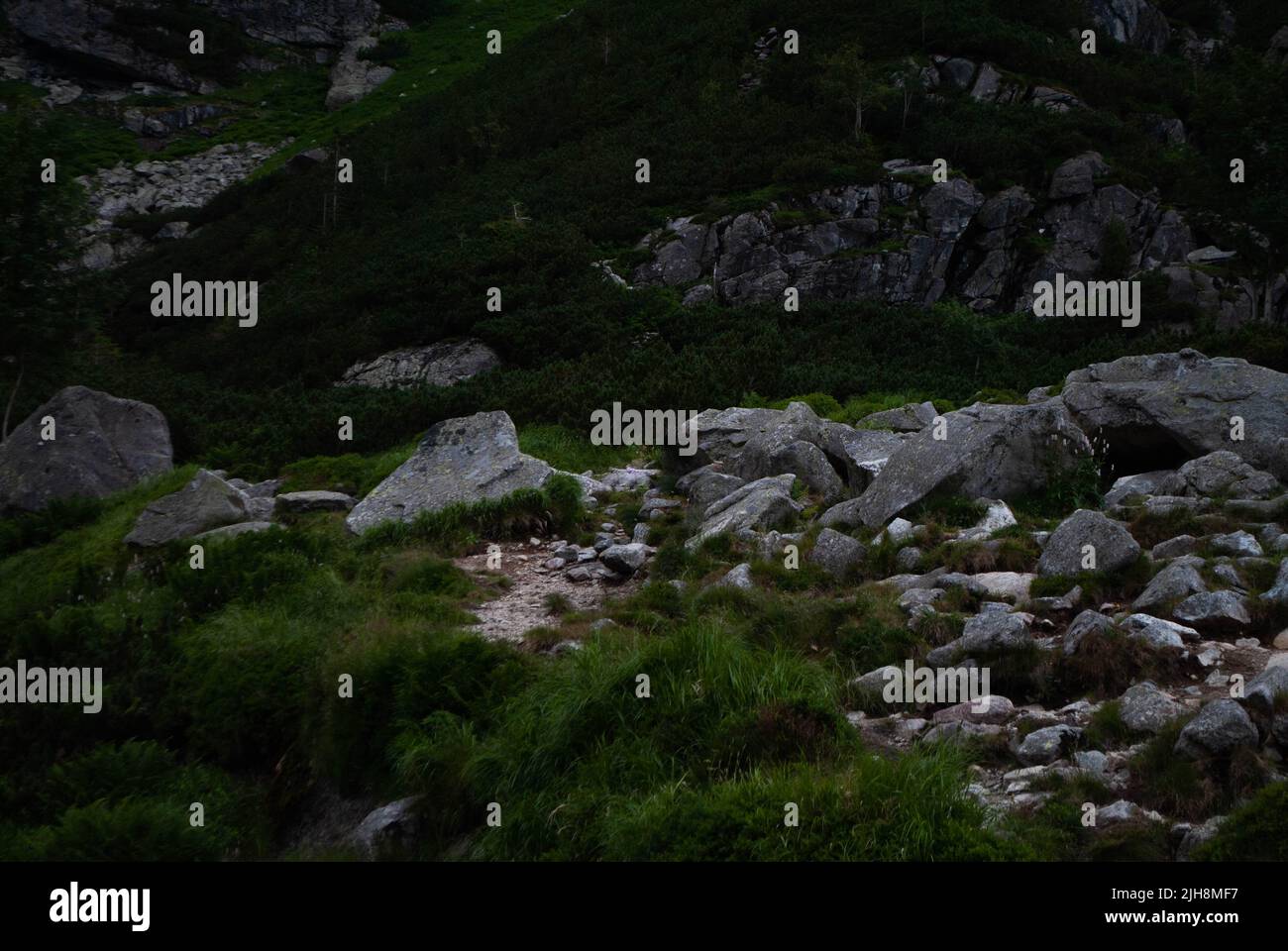 Bottom of foot hi-res stock photography and images - Alamy