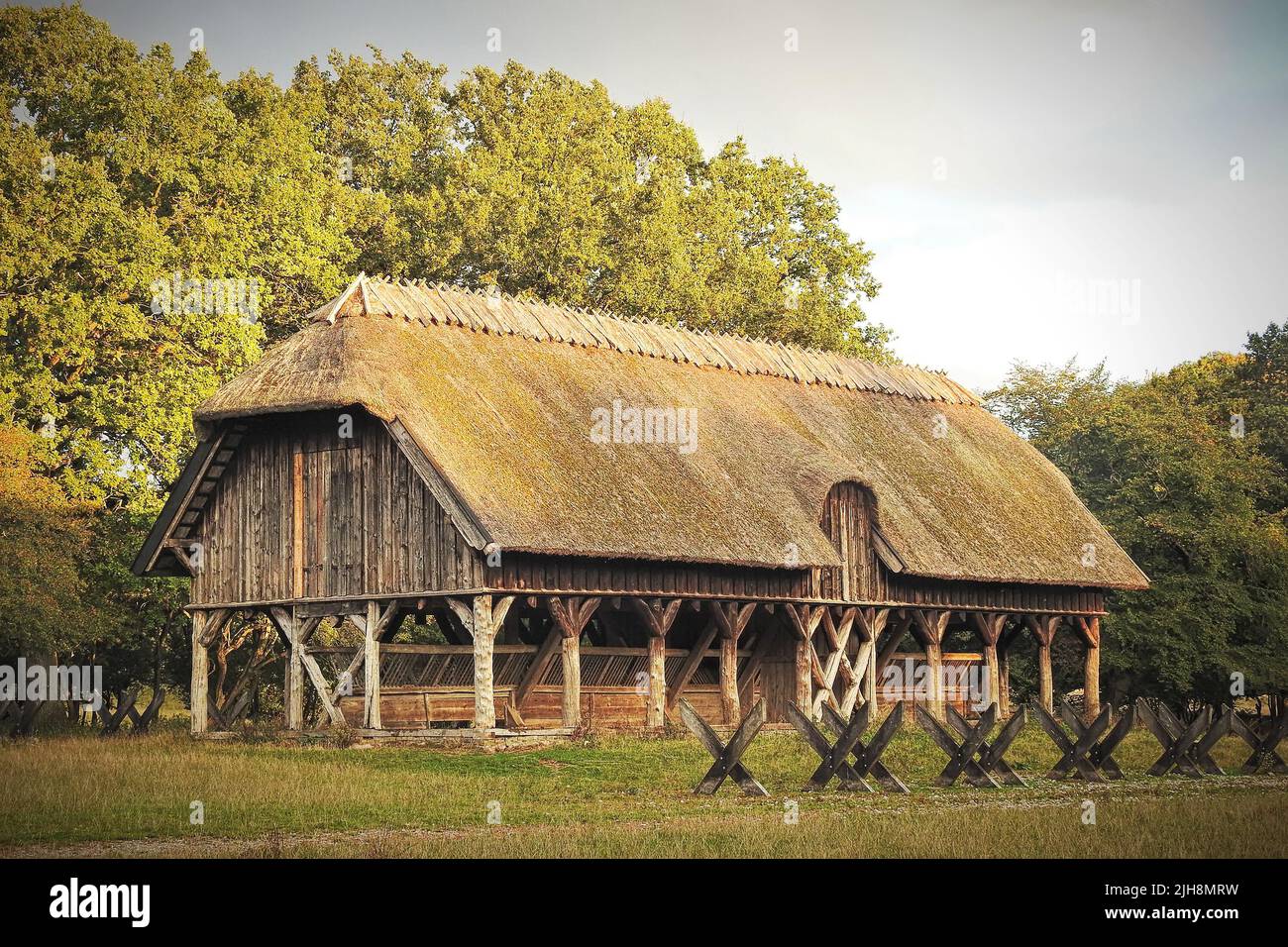 Dyrehaven park hi-res stock photography and images - Alamy