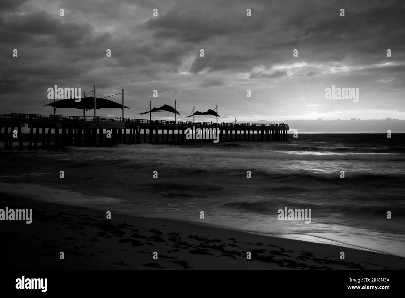 Pompano Black and White Stock Photos & Images - Alamy