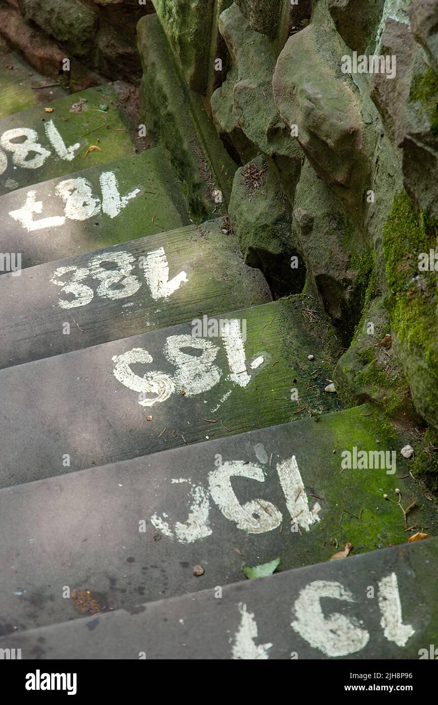 A vertical top view of steps numbered with white chalk by moss-covered ...