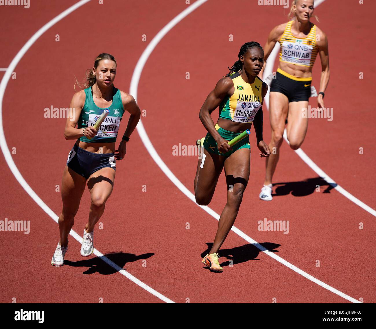 Mc gregor hi-res stock photography and images - Alamy