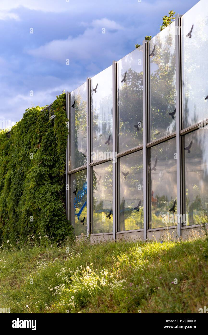 A vertical shot of window fence with black bird stickers in lush green ...