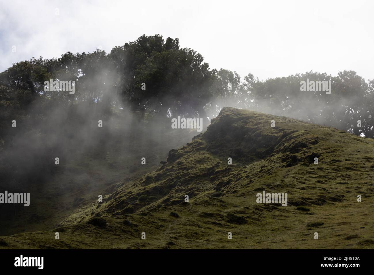 Beautiful green plains and mountains with smoke in Fanal forest Madeira ...