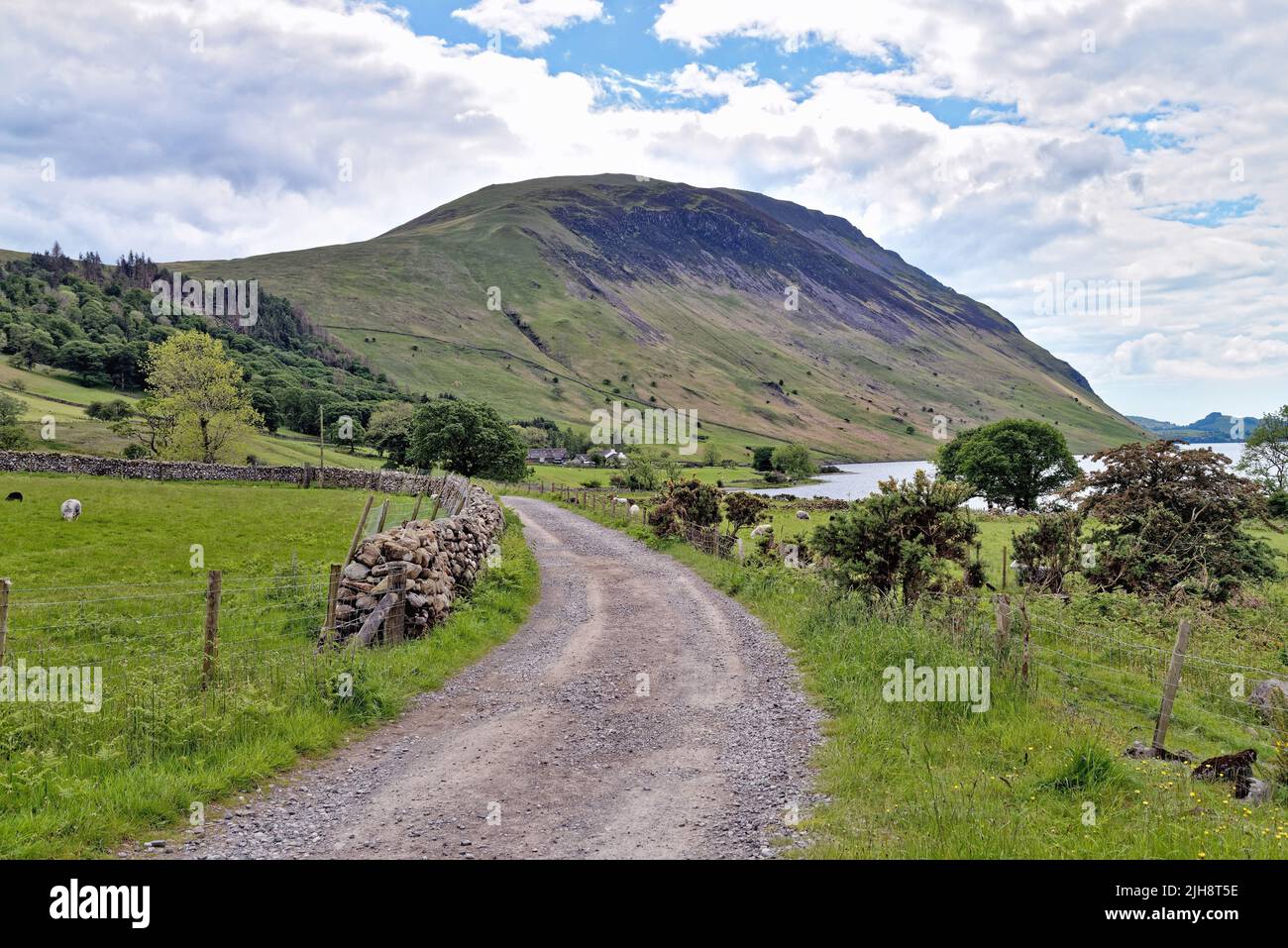 A track leading down to Wastwater lake and screes on a summers day in ...