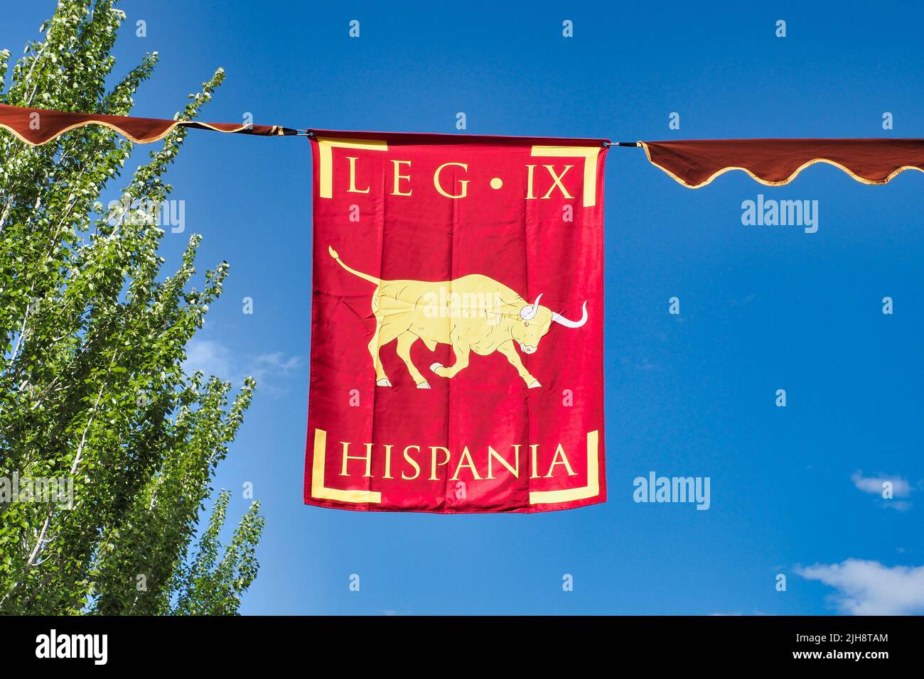 Roman flag 1st century hi-res stock photography and images - Alamy