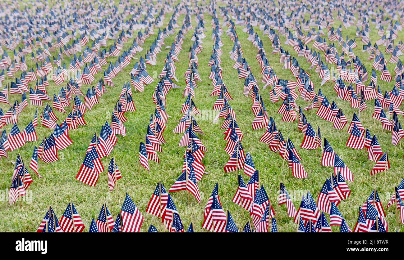 Rows of us flags hi-res stock photography and images - Alamy