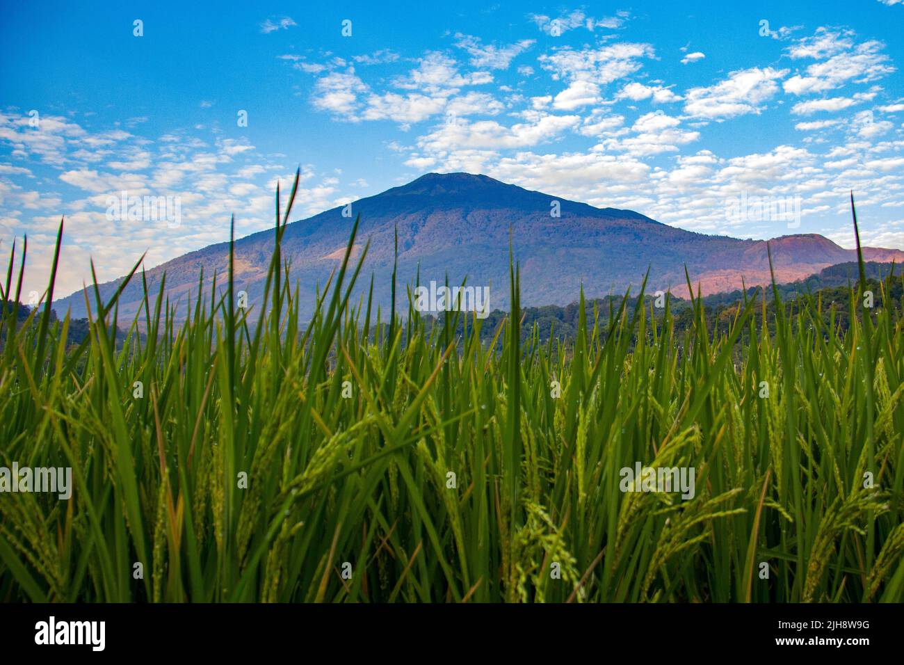 Ciremai mountain hi-res stock photography and images - Alamy