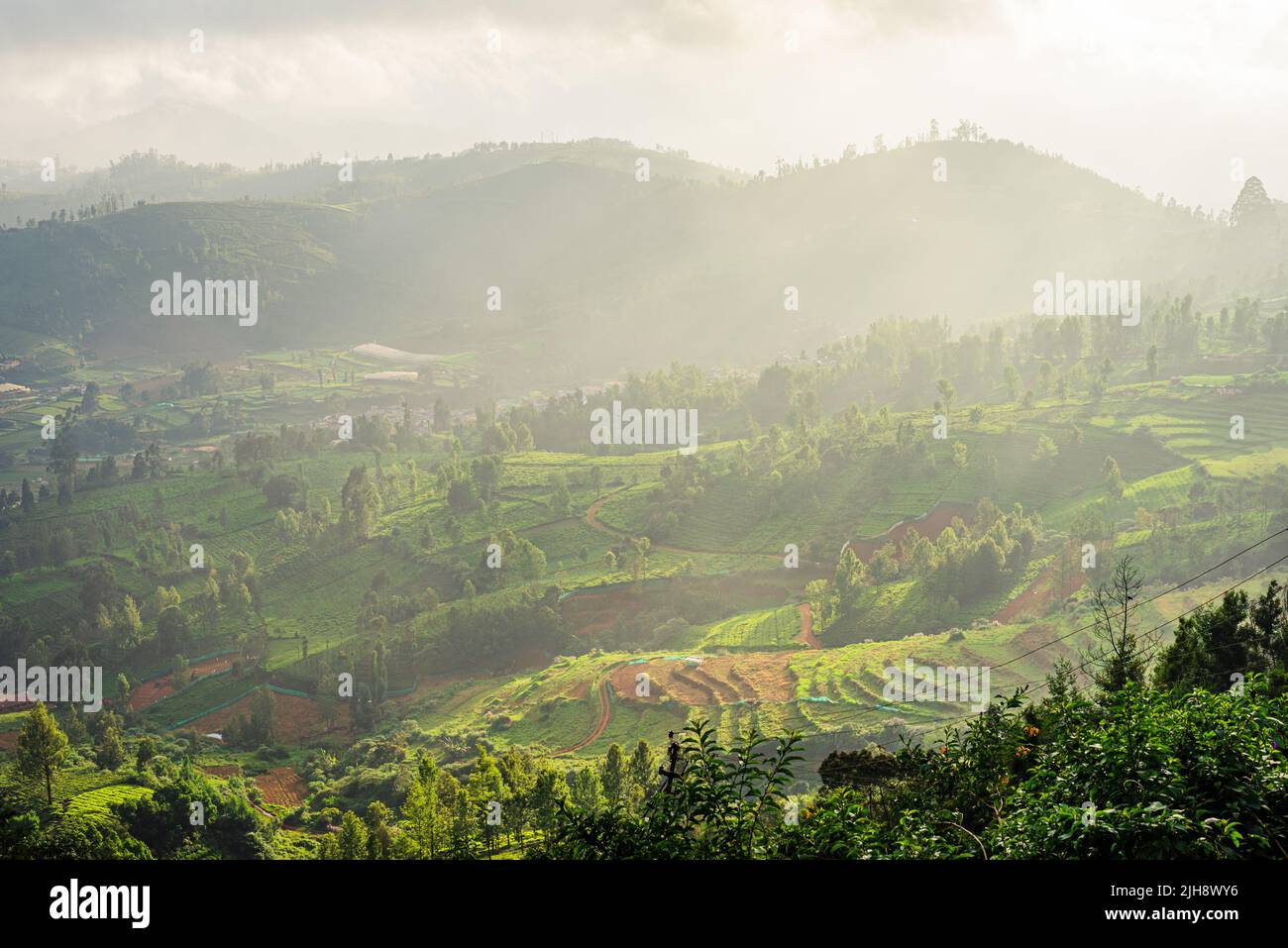 Morning sunlight passing through haze to create stunning landscape ...