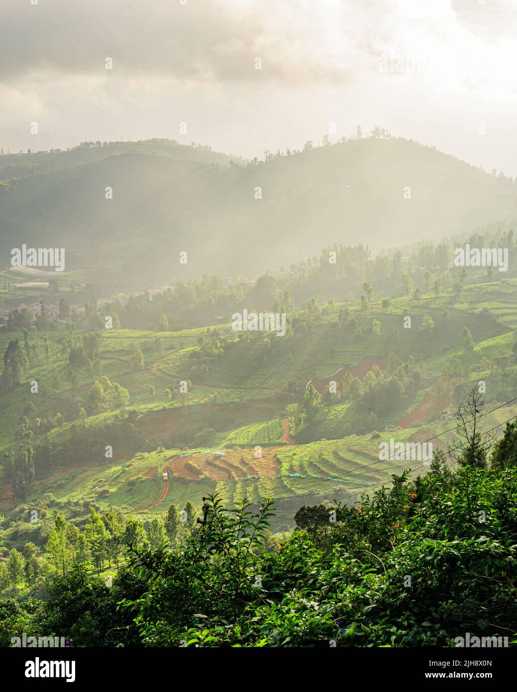 Morning sunlight passing through haze to create stunning landscape ...
