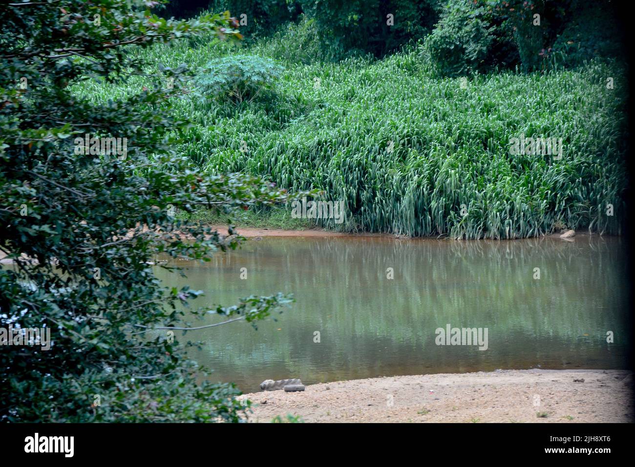 Wet zone hi-res stock photography and images - Alamy
