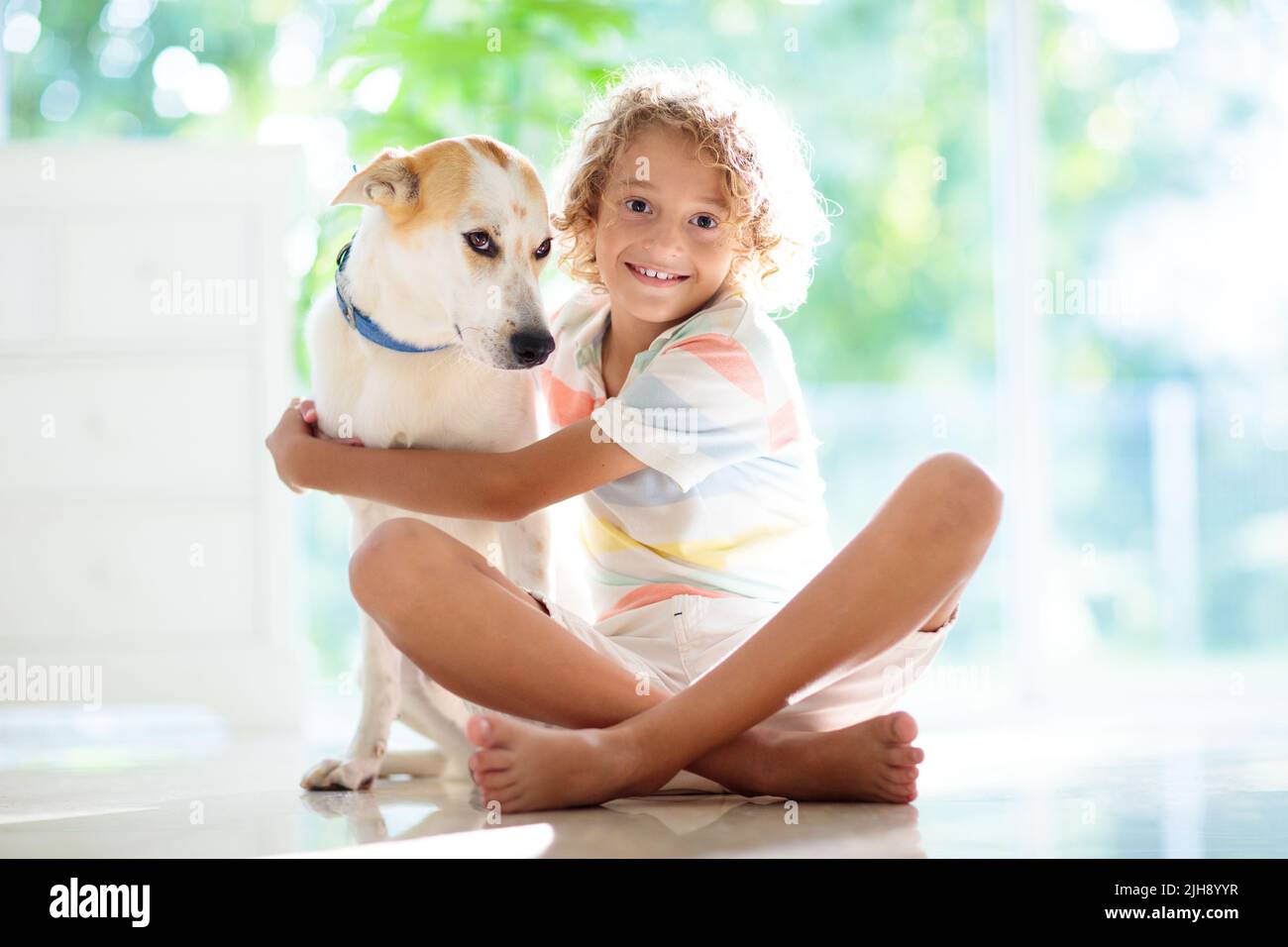 Child playing with dog. Kid and puppy play at home. Little boy hugging ...