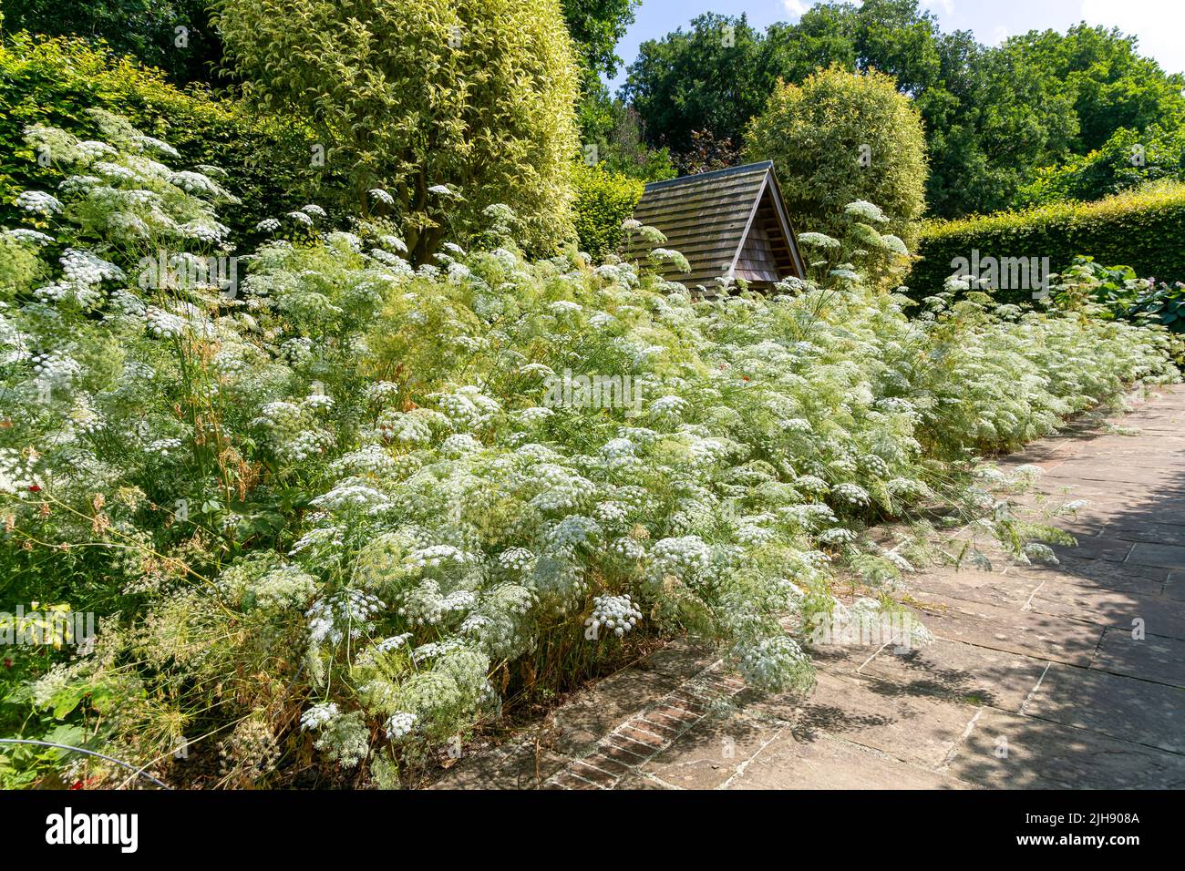 East Ruston Old Vicarage garden, East Ruston, Norfolk, England, UK ...