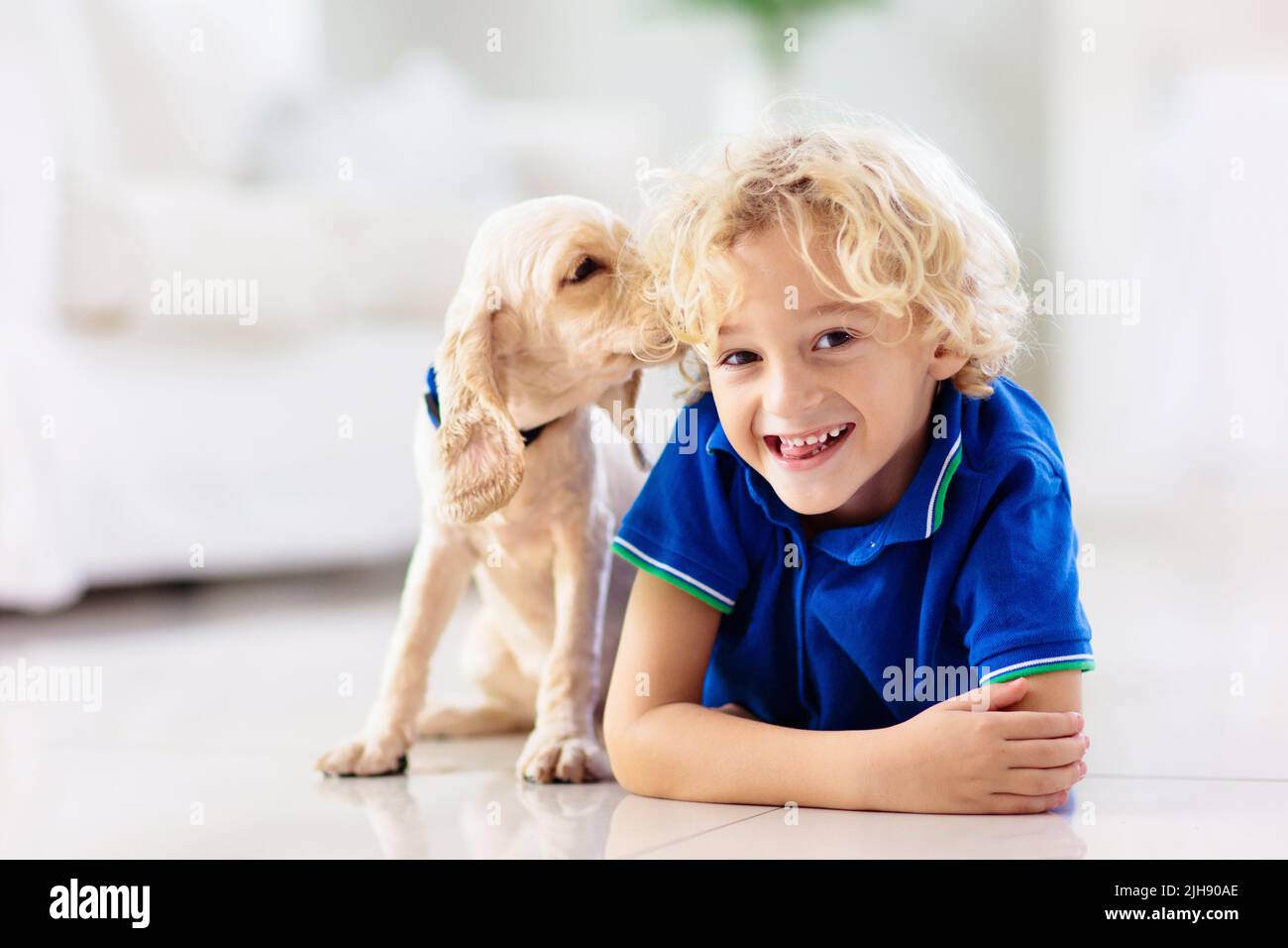 Child playing with baby dog. Kids play with puppy. Little boy and ...