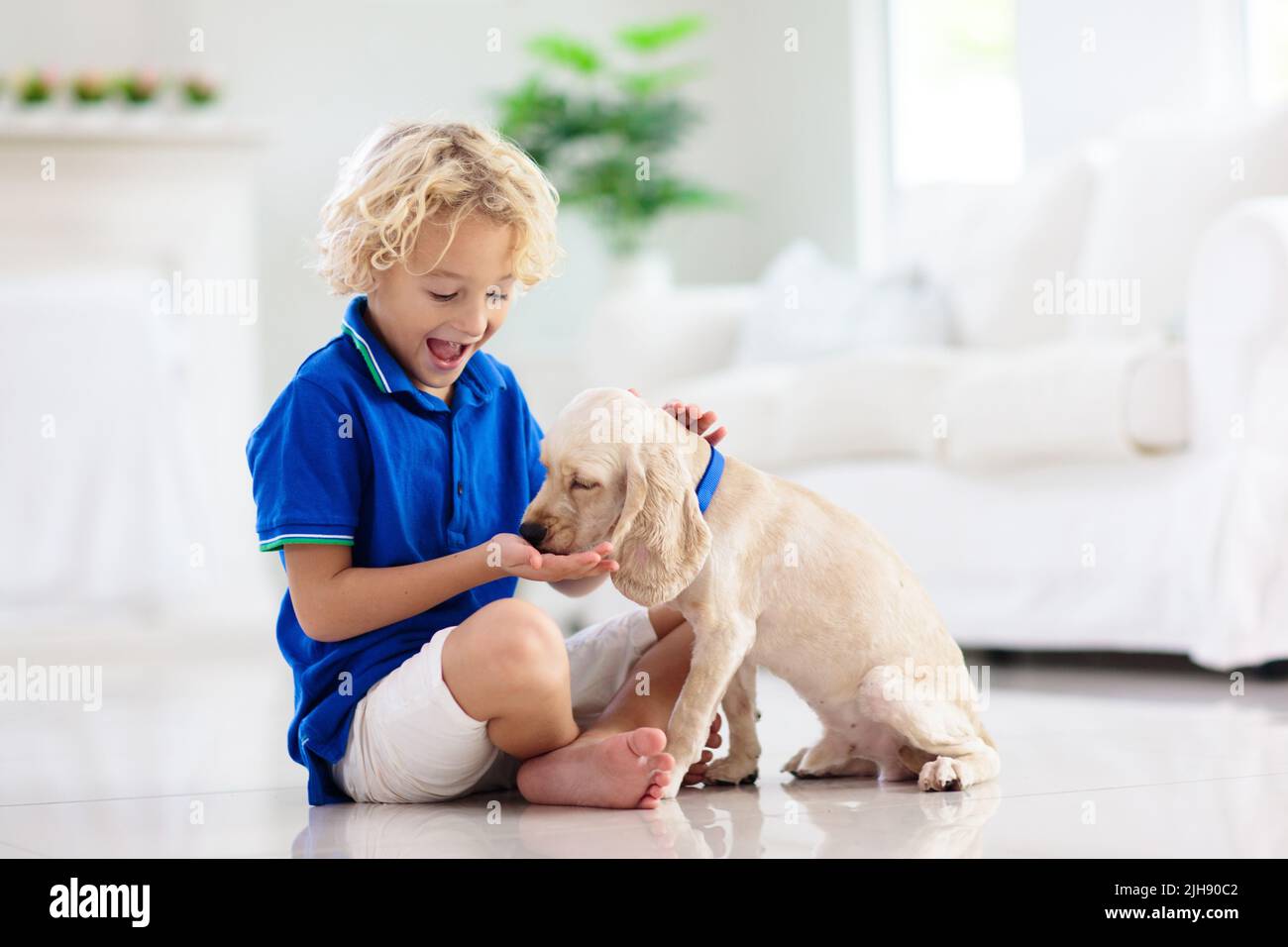 Child playing with baby dog. Kids play with puppy. Little boy and ...