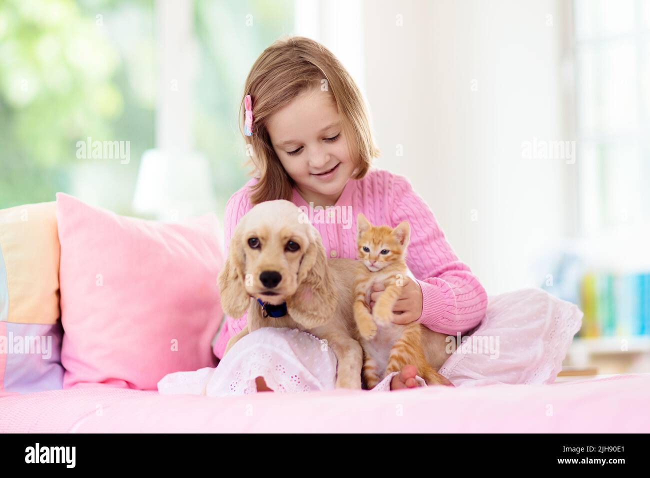 American cocker spaniel and kid hi-res stock photography and images - Alamy