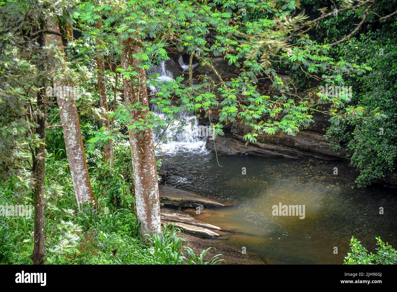 How the waterfall flows through the forest Stock Photo - Alamy
